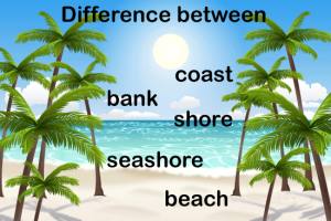 تفاوت بین shore ، beach ، bank ، coast و seashore در زبان انگلیسی