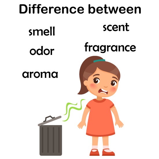 تفاوت smell ، odor ، scent ، fragrance و aroma - سالاد زبان