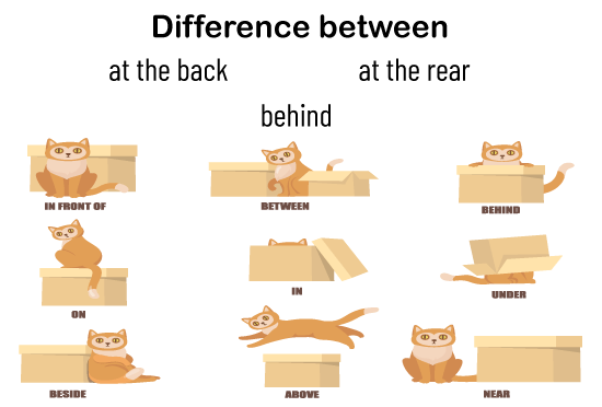 تفاوت at the back ، at the rear و behind - سالاد زبان
